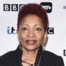 Bonnie Greer [Author] Wiki, Net Worth, Biography, Age, Husband/Wife